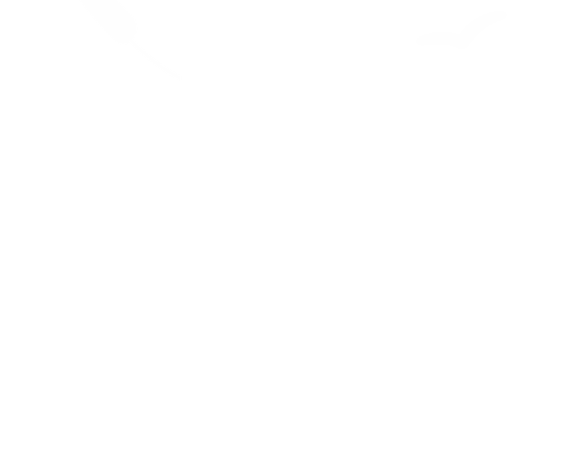 Solusi Layanan Penghubung sistem Mitra ke sistem BI-Fast | BERSAMA